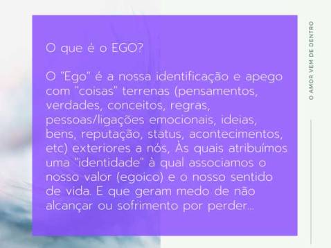 O que é o EGO? – Health Studio Holistic
